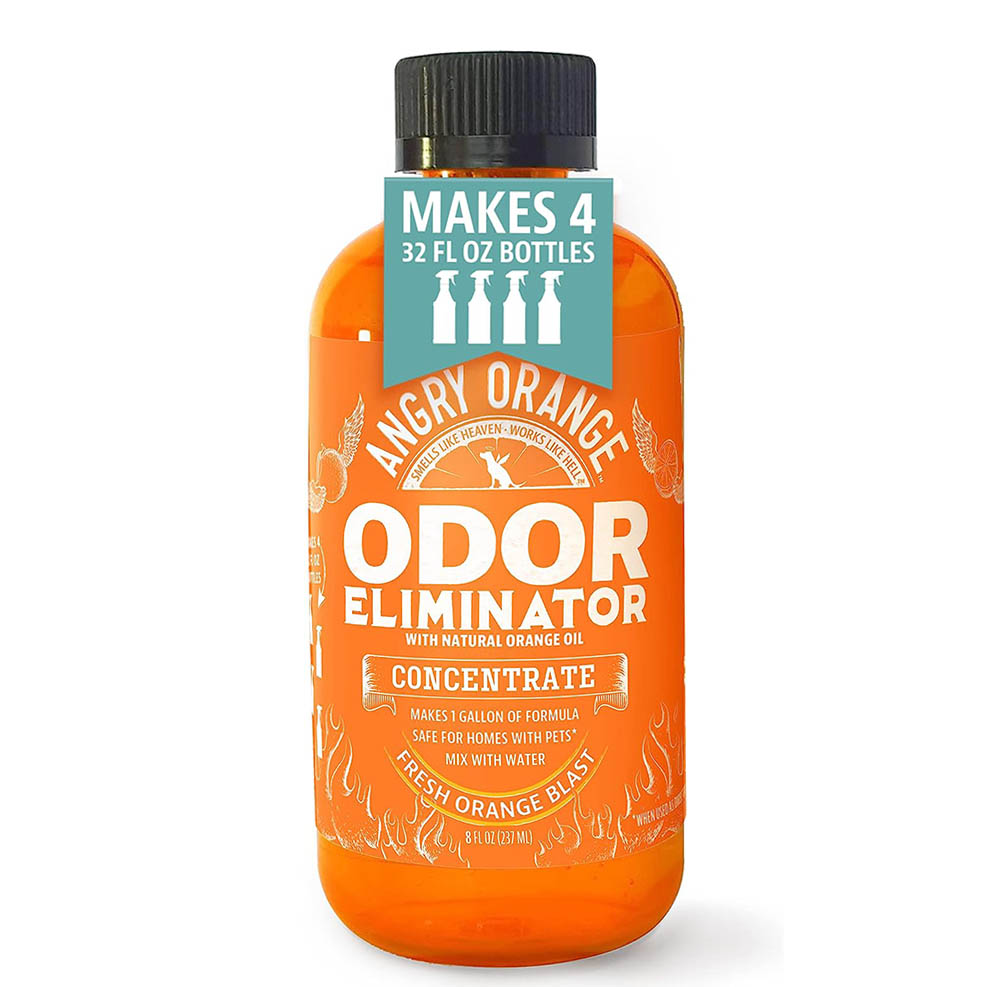 Pet Odor Eliminator Concentrate | Angry Orange